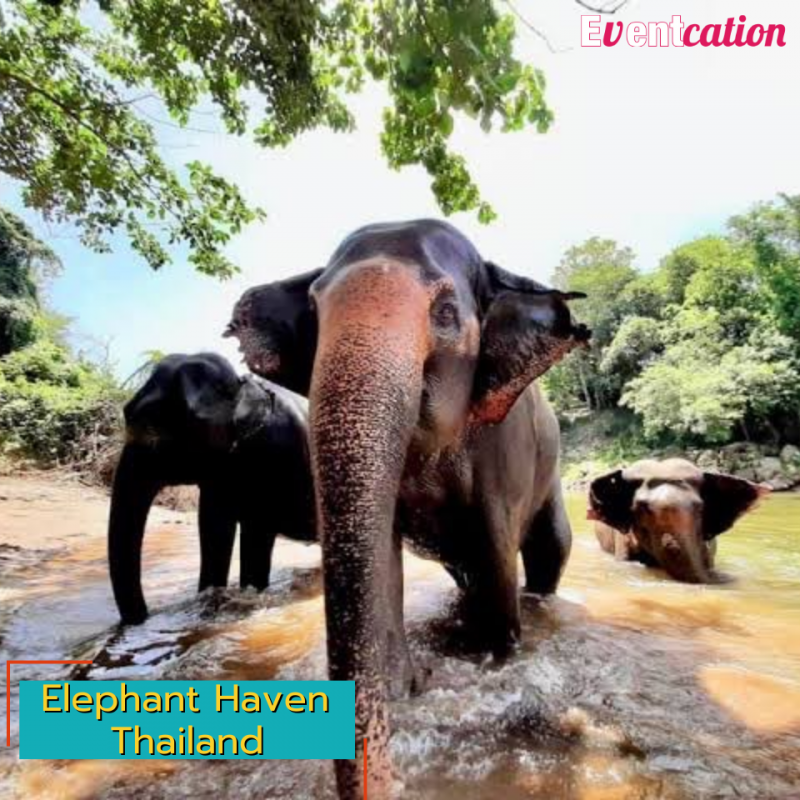 4 สถานที่จัดกิจกรรม CSR สุดปั๊วะ สุดปัง in กาญจนบุรี - Eventcation.com