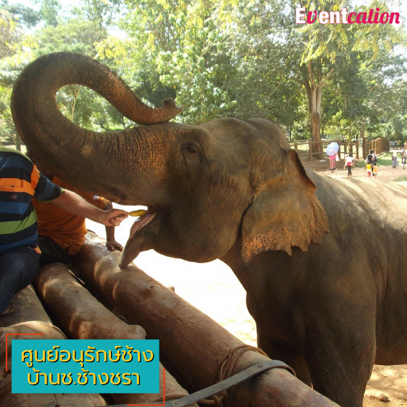 4 สถานที่จัดกิจกรรม CSR สุดปั๊วะ สุดปัง in กาญจนบุรี - Eventcation.com